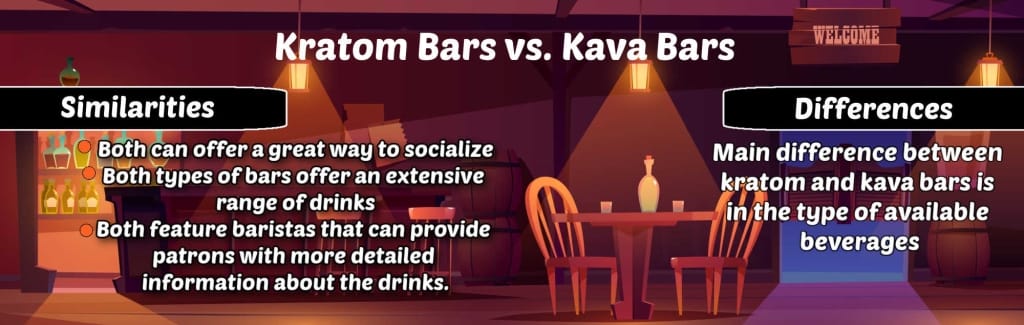 What Are Kratom Bars? (+ List of the Top Kratom Bars in the U.S.) | New Dawn Kratom