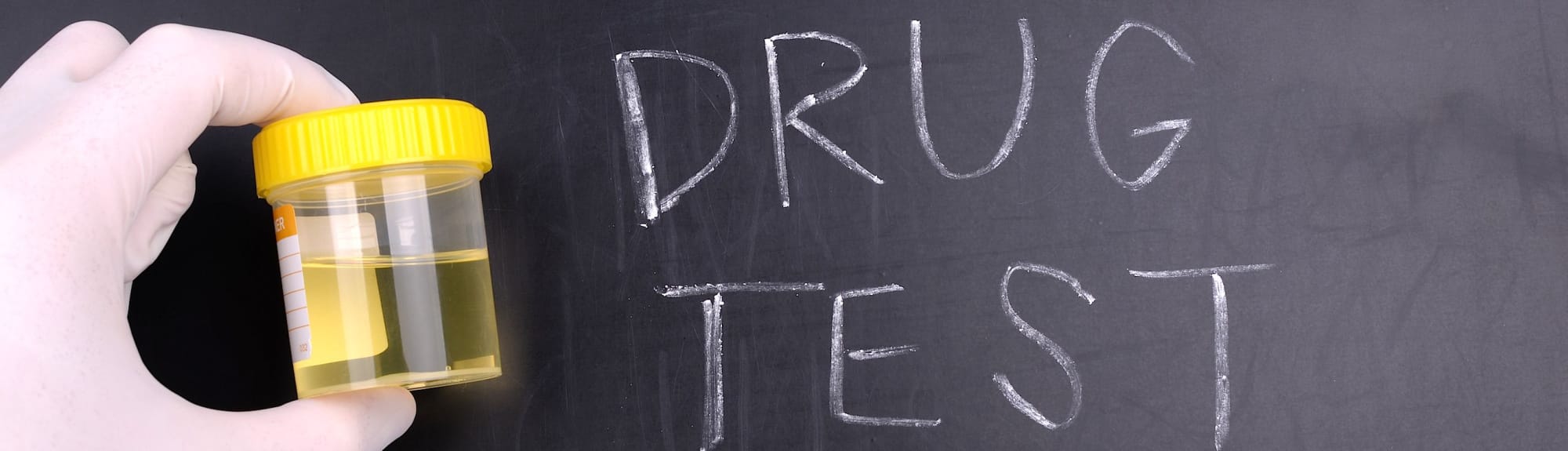 Does DOT Test For Kratom Here Are The Answers